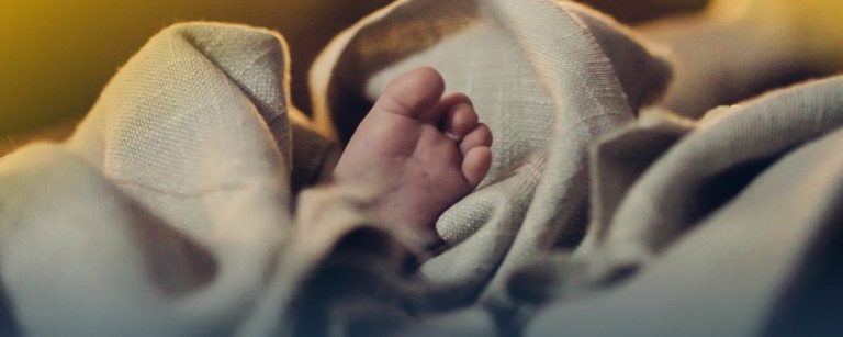 Jesus: The Promised Peacemaker - First Free Church Chicago