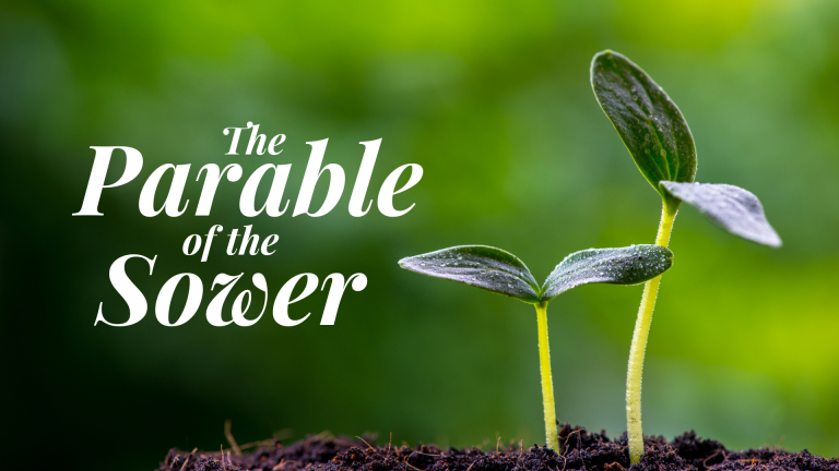 Parable of the Sower - First Free Church Chicago