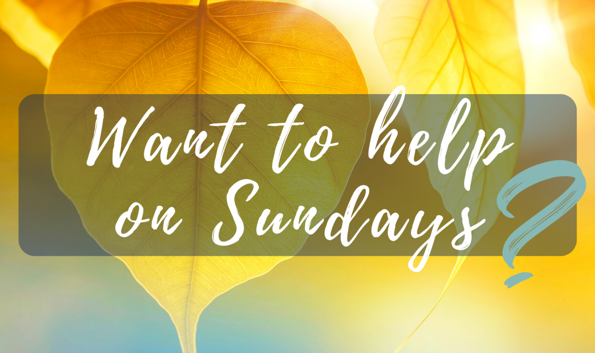 Opportunities to Help - First Free Church Chicago