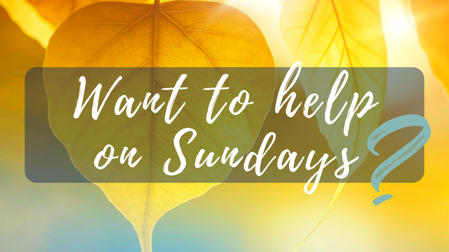 Opportunities to Help - First Free Church Chicago